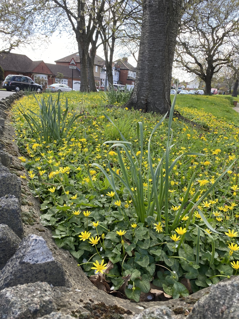 Training Day to help nature recover | ActionFunder
