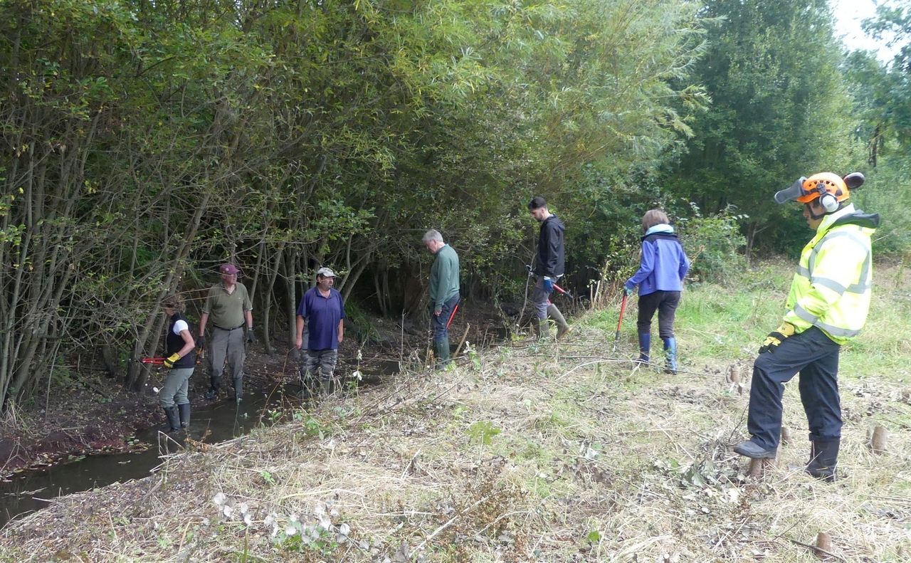 Rivers Week at Tice's Meadow | ActionFunder