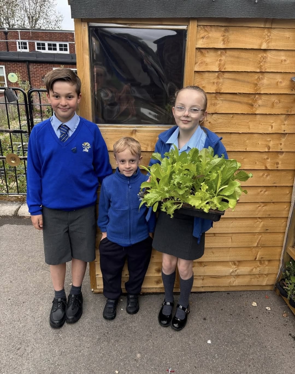 'The Quad' - A Wildlife Garden at Warren Mead Infant and Junior School ...