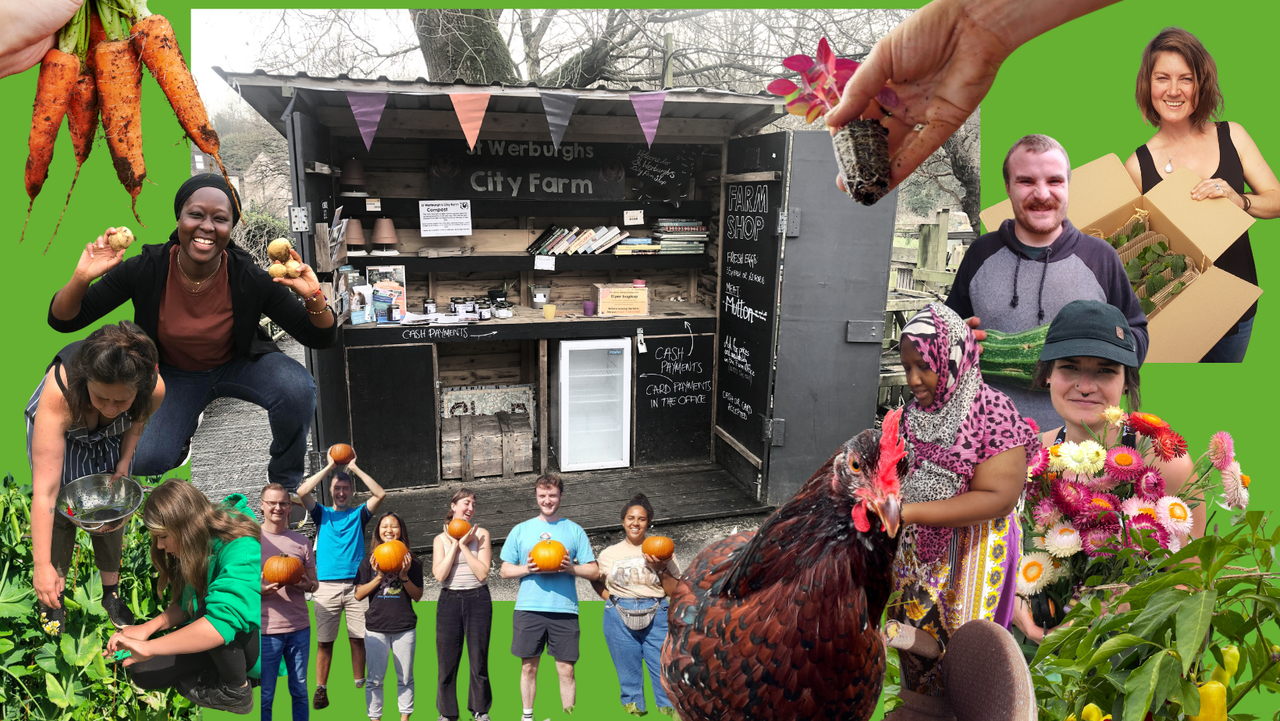 Urban Farm Shop Refurb! | ActionFunder