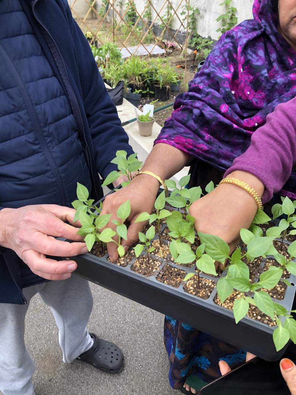 Fungi Fun For Everyone | ActionFunder