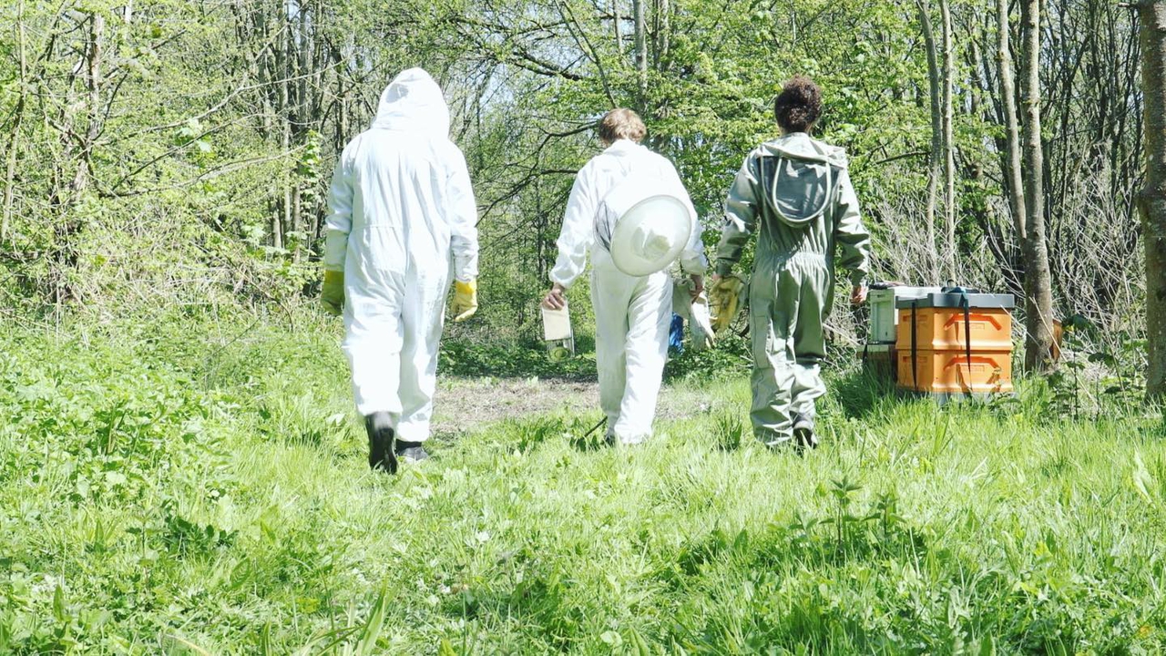 Bees, Biodiversity,food growing & Community building | ActionFunder