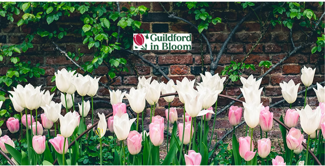Guildford in Bloom - 2025 Campaign | ActionFunder