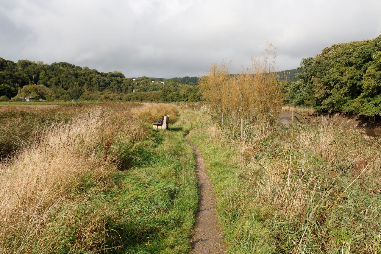 Calstock Wetlands Access Improvements | ActionFunder