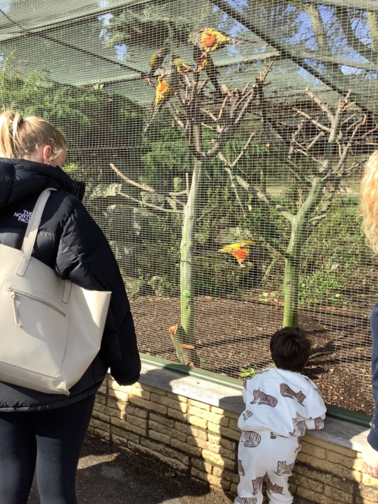 Family Trip - building family confidence to take their child out ...