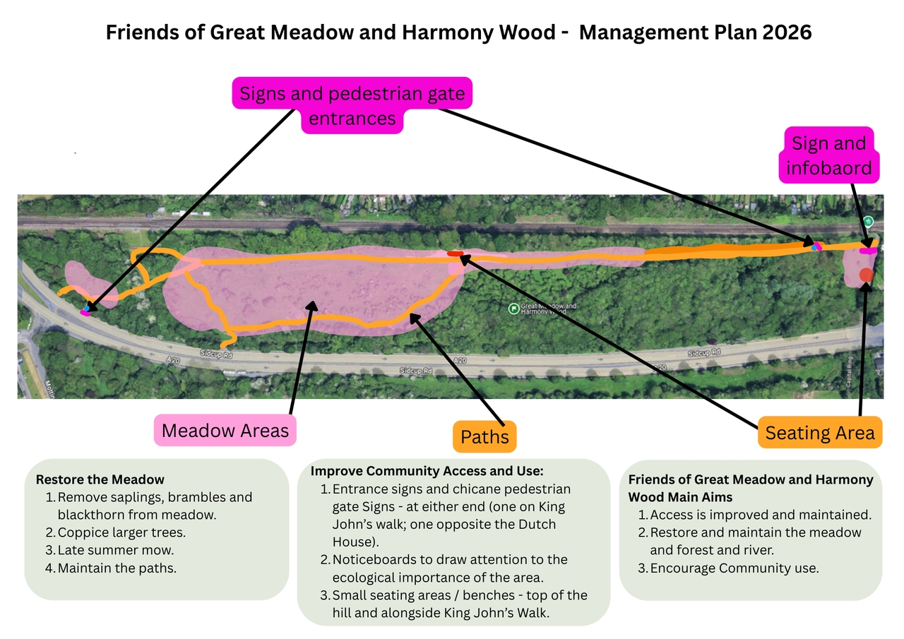 Great Meadow and Harmony Woods Restoration and Community Use | ActionFunder