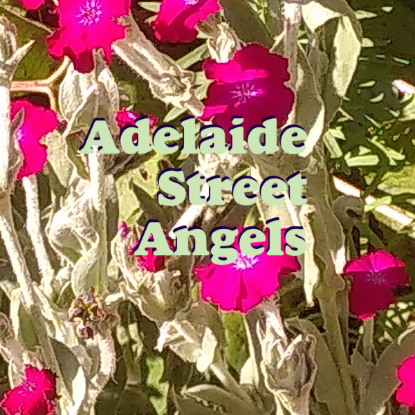 Adelaide Medieval Day | ActionFunder