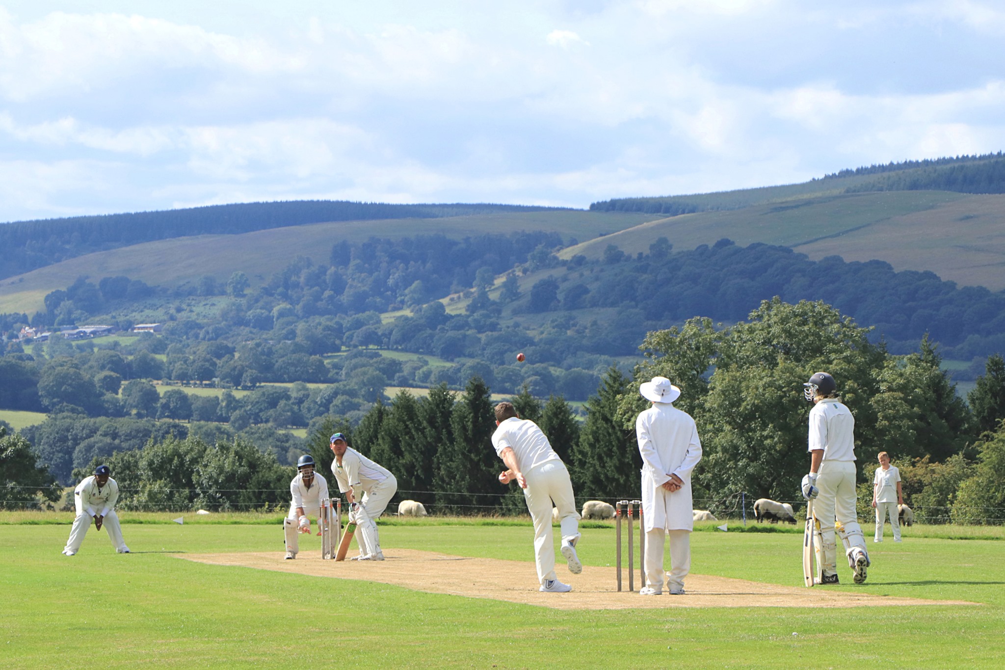 Creation of new wicket on cricket square & restoration of gang mower ...