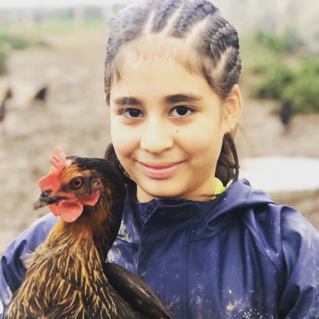 Developing life skills and supporting good mental health for children ...