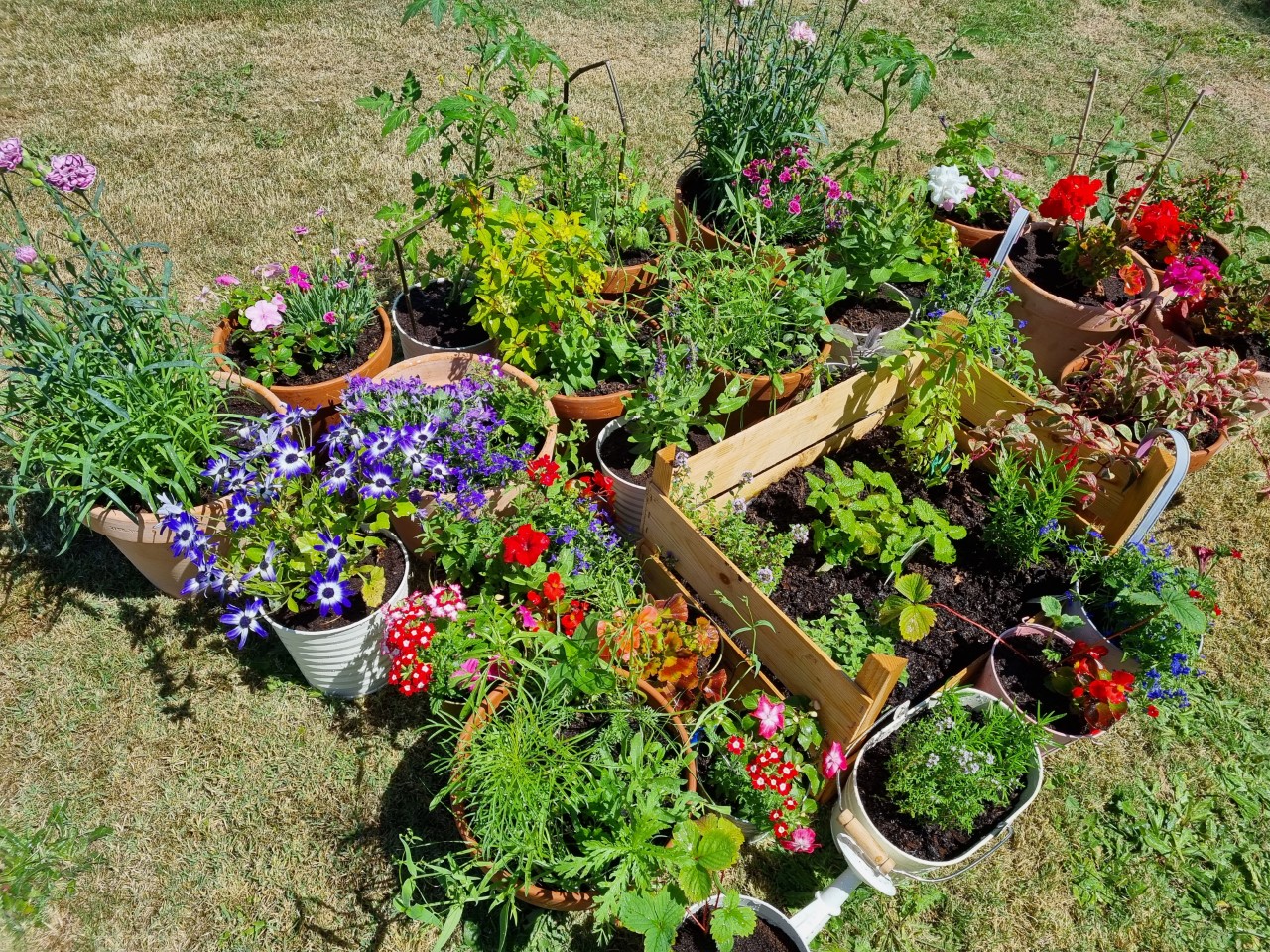 ActionFunder - Make Change Happen